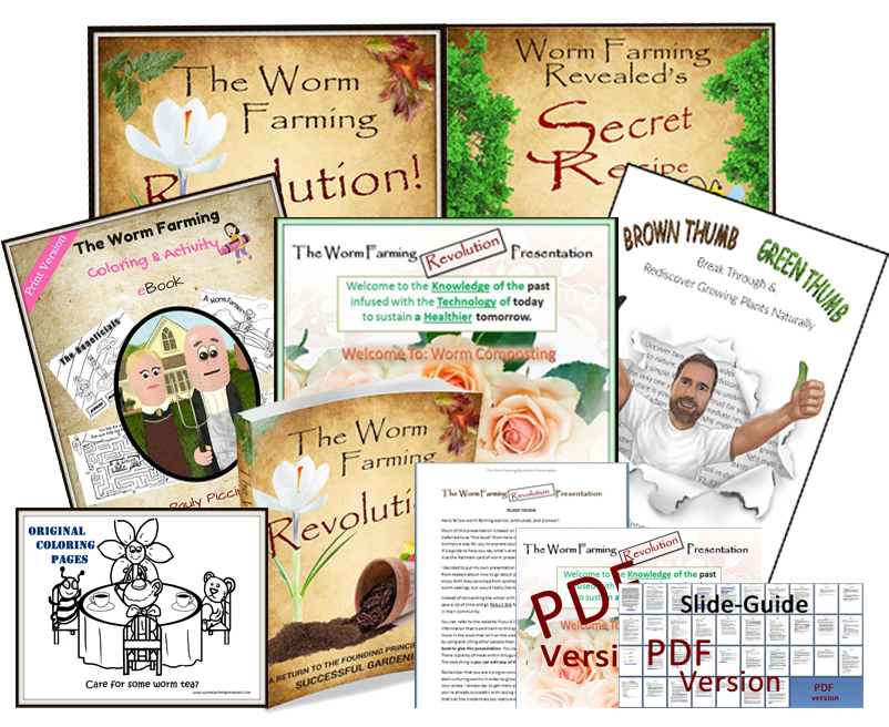 Five Step Success To Worm Composting