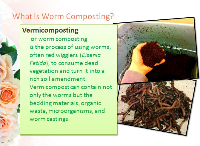 Worm Farming Presentation